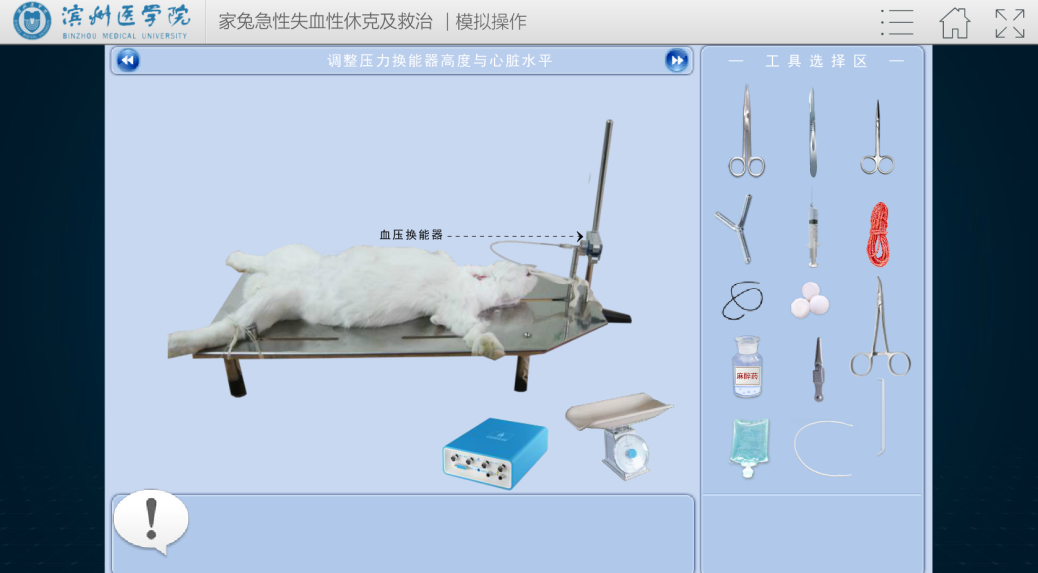 实验详情
