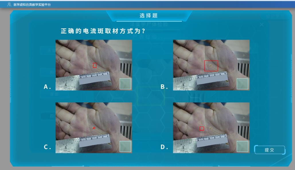 实验详情