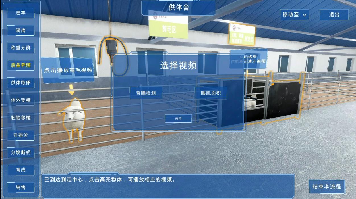 实验详情