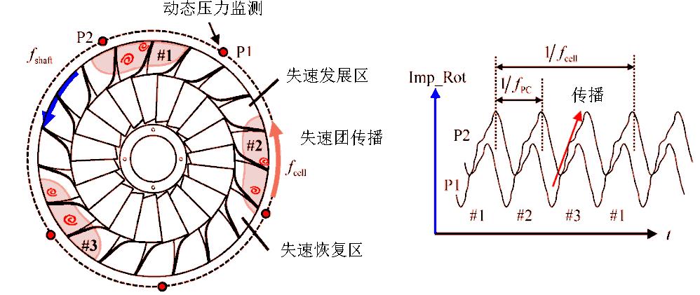 实验详情 5482