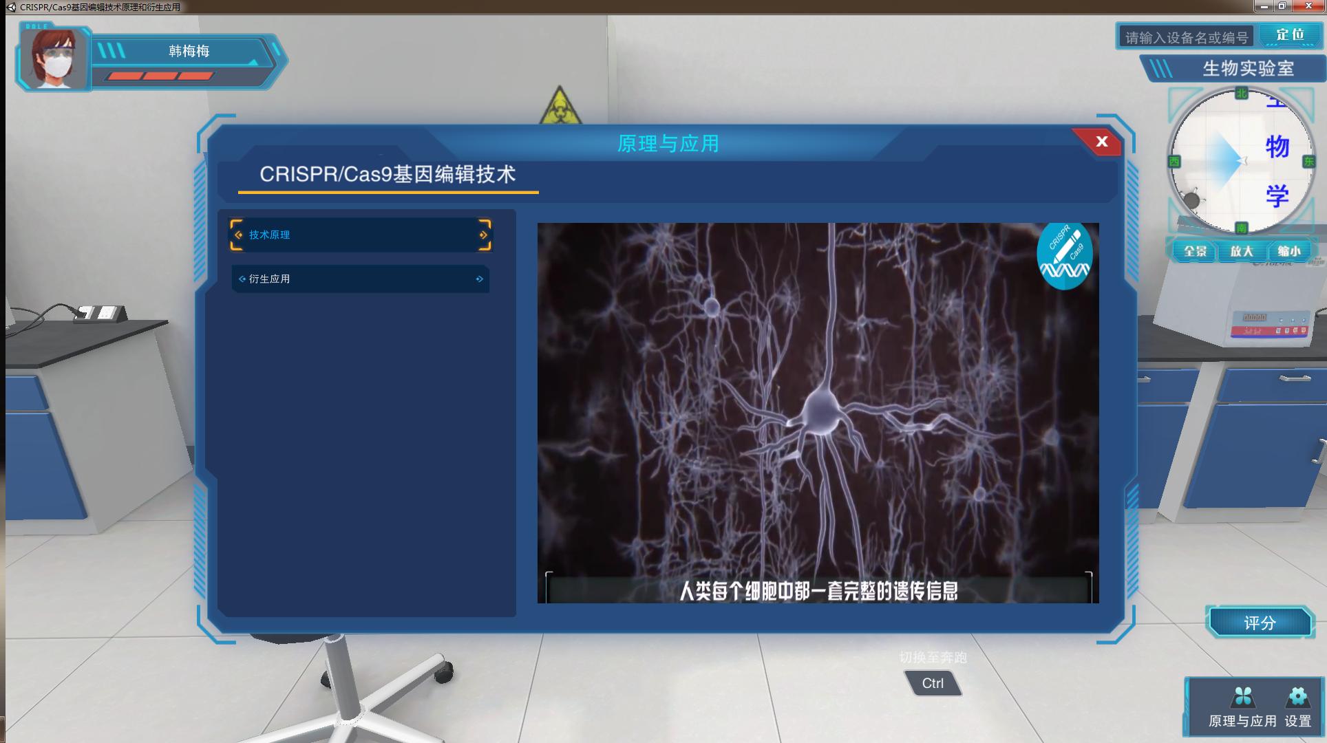 实验详情