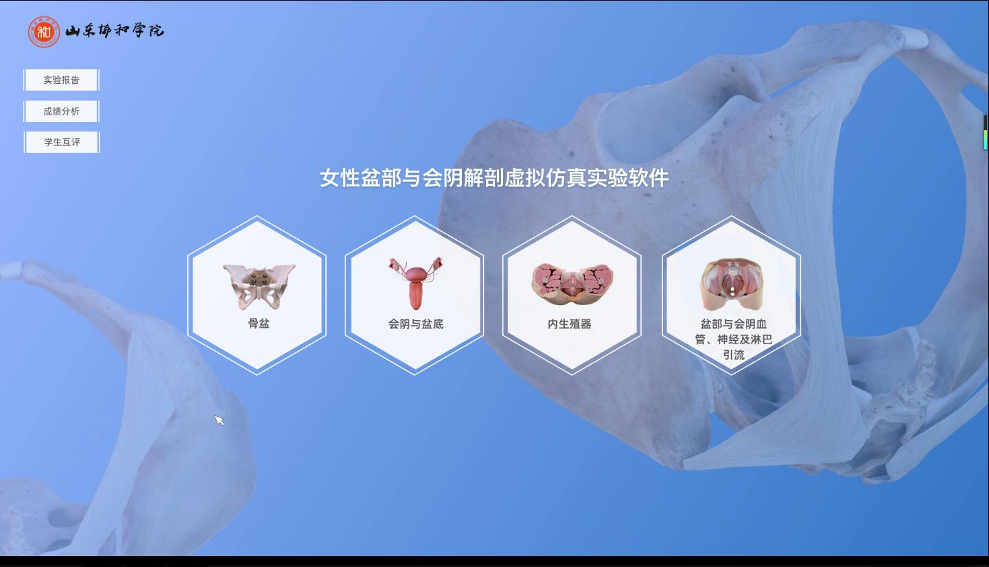 实验详情