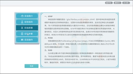 实验详情